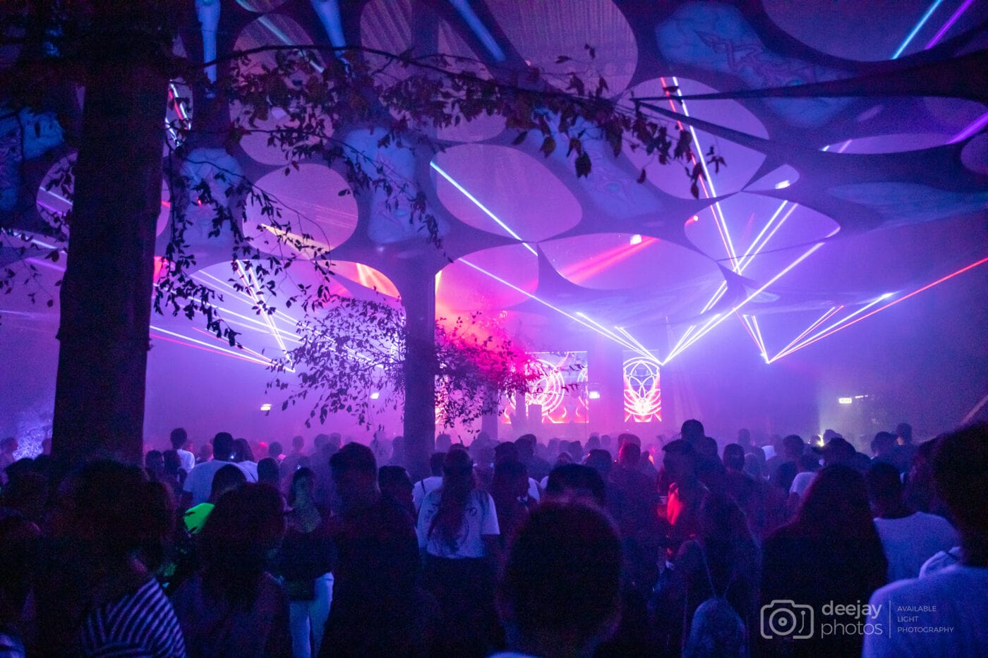 Die SONIC wird wieder in Wolfwil einziehen